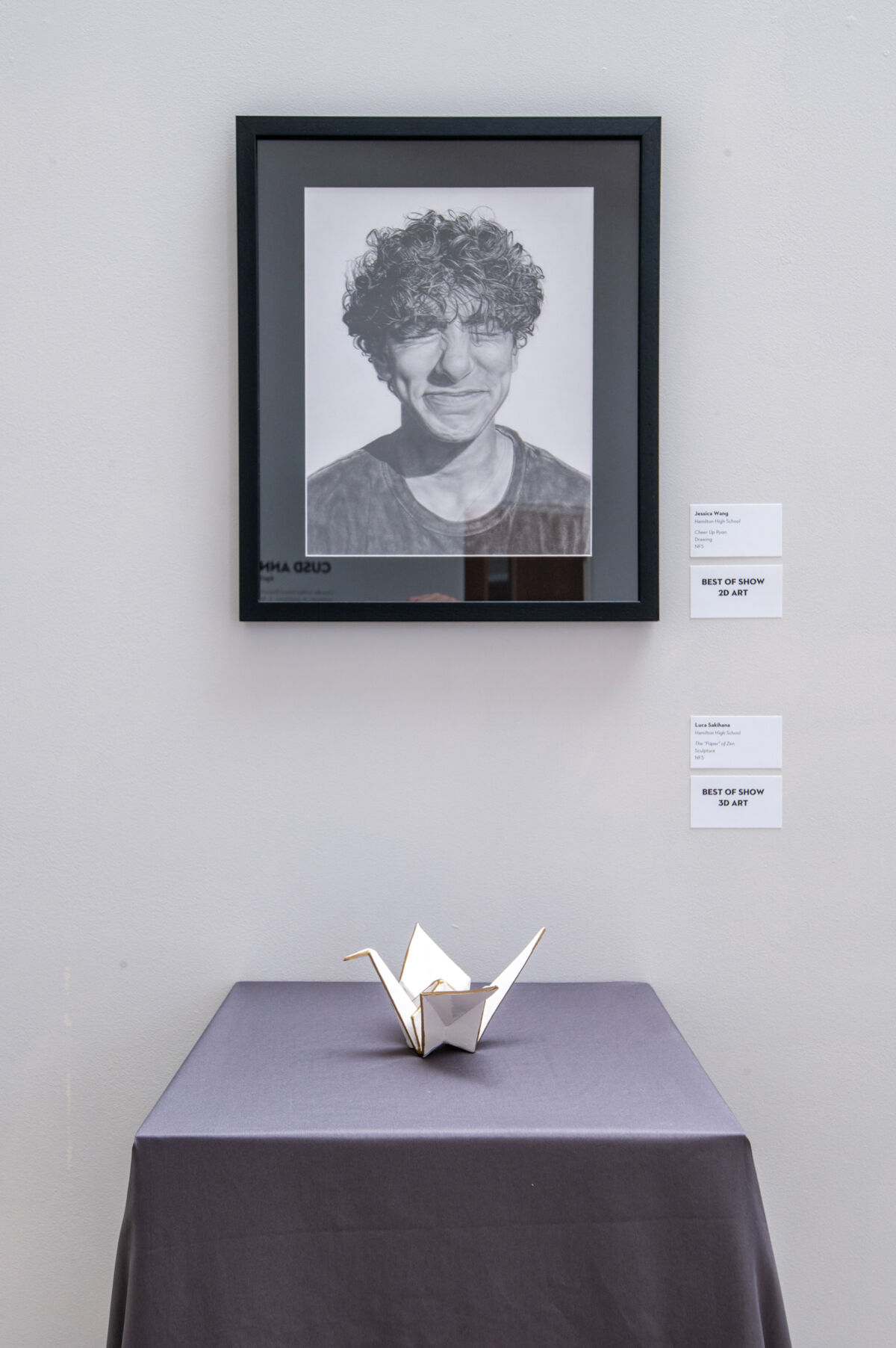 CUSD Annual Showcase - Vision Gallery