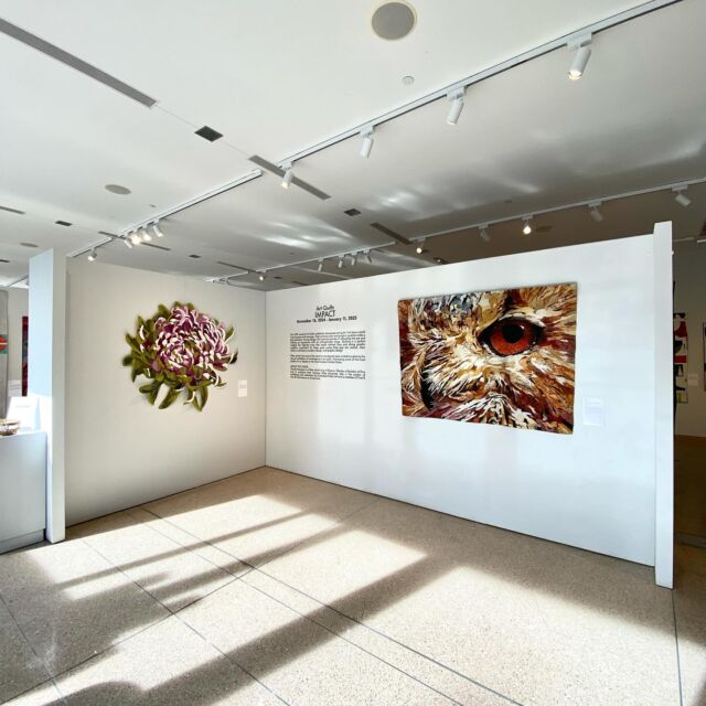 Public Art - Vision Gallery